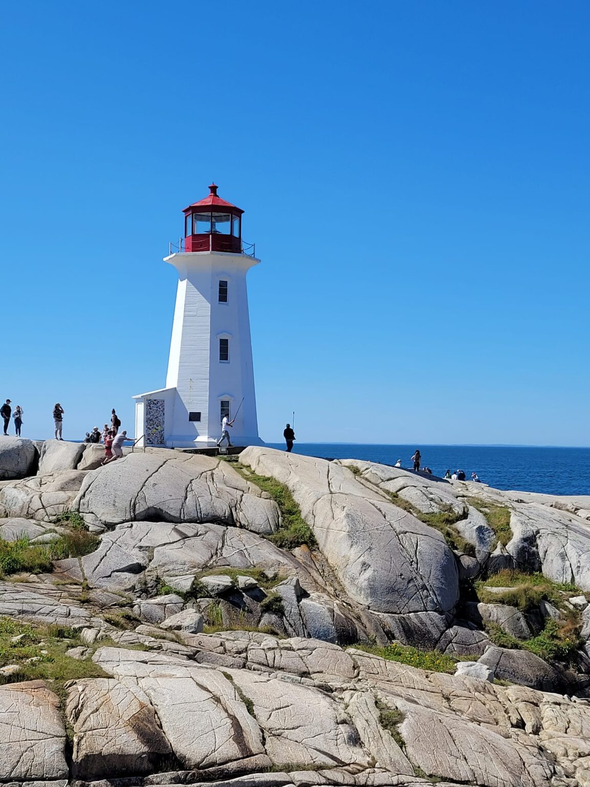 Bus Tours Canada – Explore the Best Destinations with Pro Tours